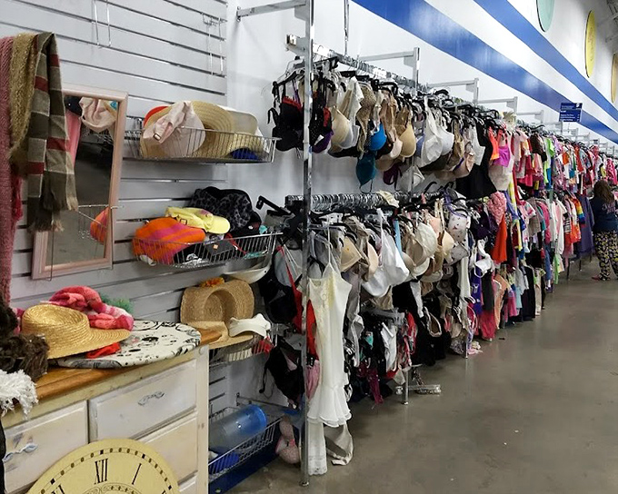 Intimate apparel and accessories arranged with surprising dignity&mdash;proof that even thrift stores have standards and organizational skills.