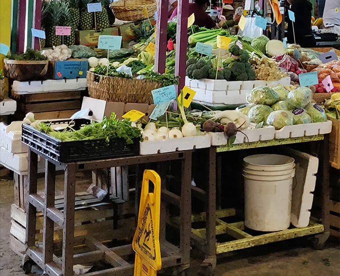 The vegetable display that makes you suddenly want to cook everything from scratch and become the kind of person who knows what to do with fennel.