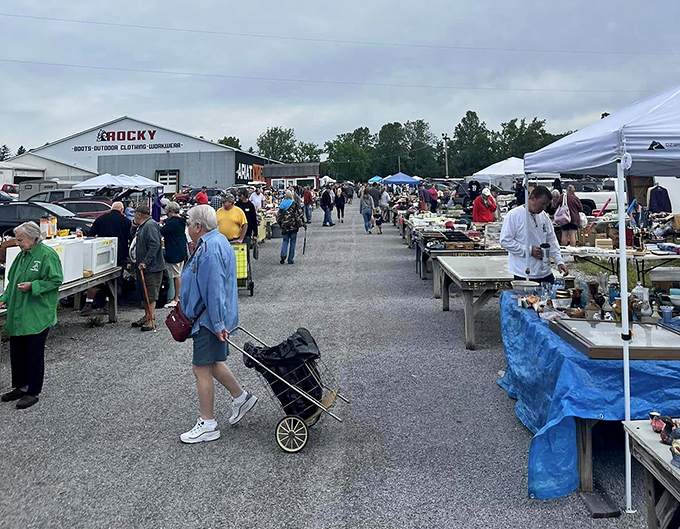 The seasoned pros! Watch how veteran shoppers navigate the market with collapsible carts—they're not playing around when it comes to serious finds.