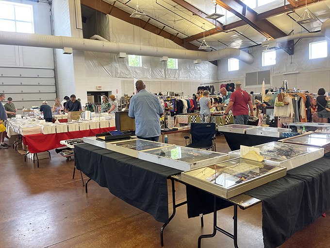 Market day under Midwestern skies: Perfect puffy clouds provide backdrop for this monthly ritual where strangers become temporary neighbors united by the thrill of discovery.
