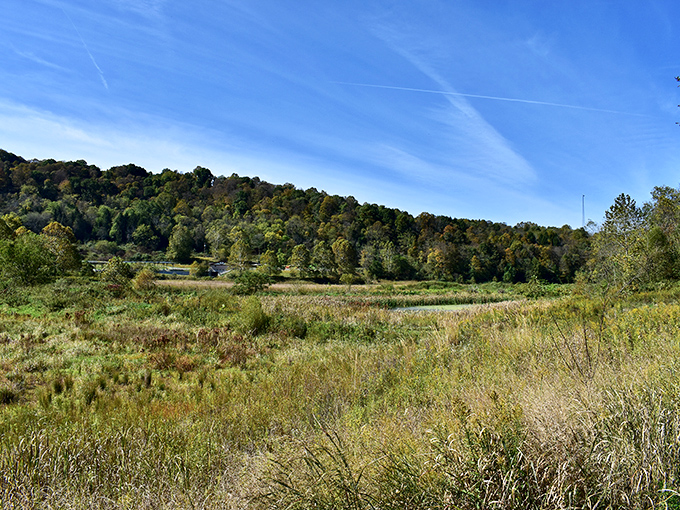 Golden meadow grasses wave in the breeze beneath rolling hills. The kind of panorama that makes you pull over just to stare.