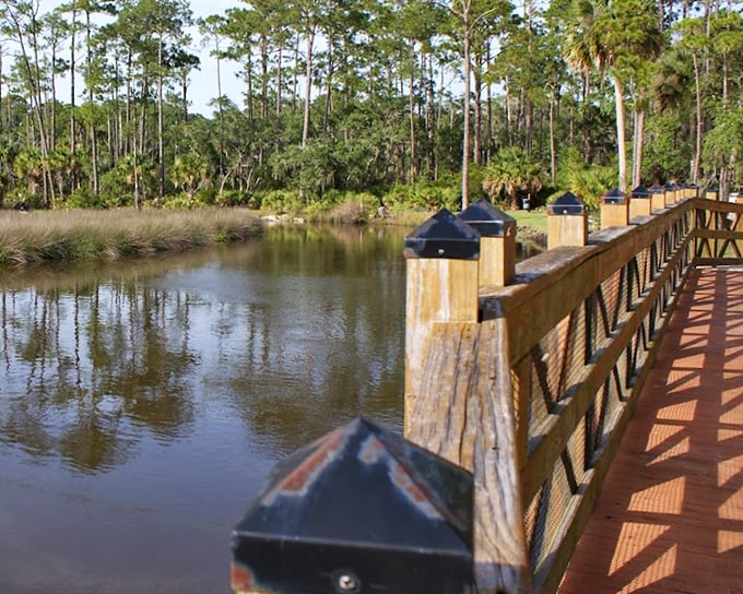 The bridge railing frames the view like a masterful painting, with Florida's distinctive pines standing sentinel in the background.