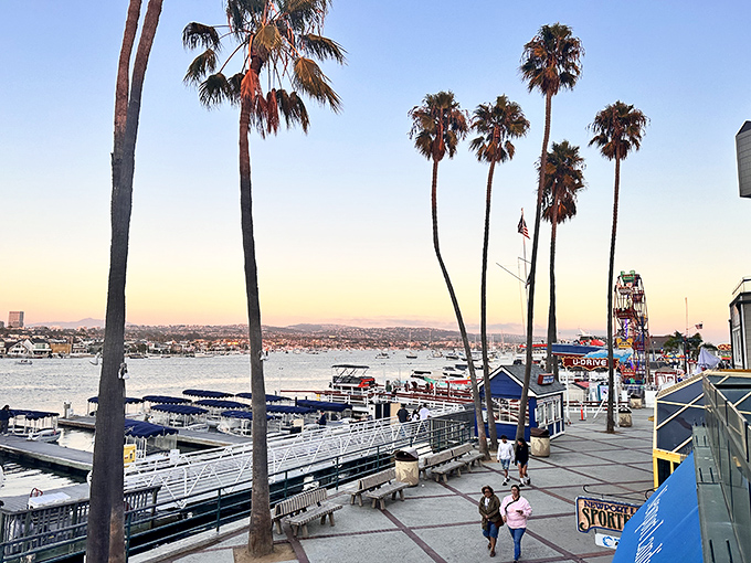 Those iconic California palm trees stand sentinel over Newport Harbor, reminding diners they're experiencing something that simply can't be replicated in the Midwest.
