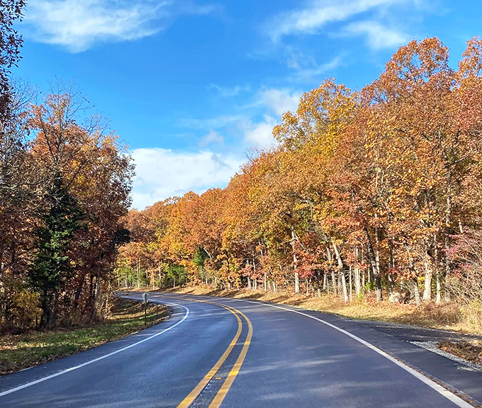 Autumn's golden hour transforms an ordinary stretch of highway into a scene worthy of a calendar cover. Just another Tuesday in the Ozarks.
