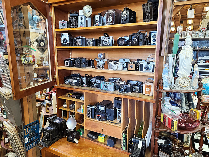 The vintage camera collection chronicles photography's evolution from boxy Brownies to sophisticated rangefinders. Each one captured someone's precious moments.