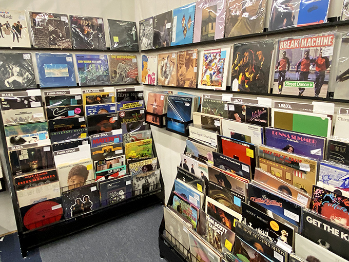 Vinyl records organized by people who understand that album art and liner notes were half the experience music was meant to deliver.