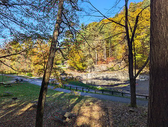 Fall paints Fillmore Glen in a palette of amber and gold. Nature's annual art show requires no admission fee, just appreciative eyes.