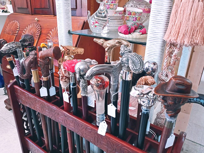 Walking sticks with personality &ndash; each handle tells a different story, from alligators to eagles, waiting for their next adventure.