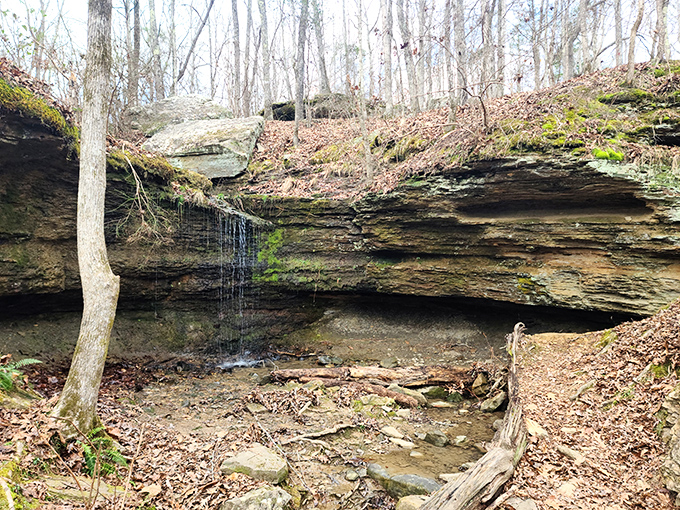 Nature's spa treatment &ndash; a gentle waterfall that's been providing free sound therapy since long before meditation apps were a thing.