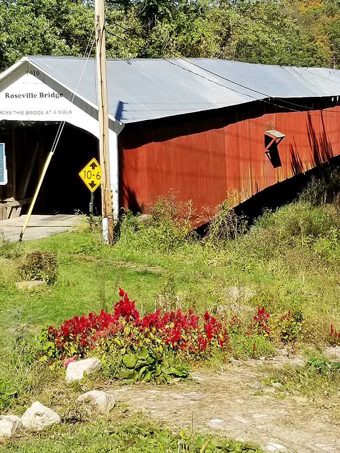 Even the wildflowers know how to frame a photo opportunity, adding their own splash of color naturally.