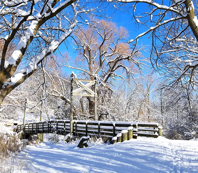 Winter transforms Sheboygan's trails into snow-dusted wonderlands where even the most dedicated couch potatoes might consider the magic of outdoor exploration.