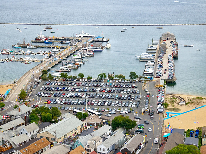 Race Point's dramatic coastline faces the open Atlantic where whales migrate past sandy shores.
