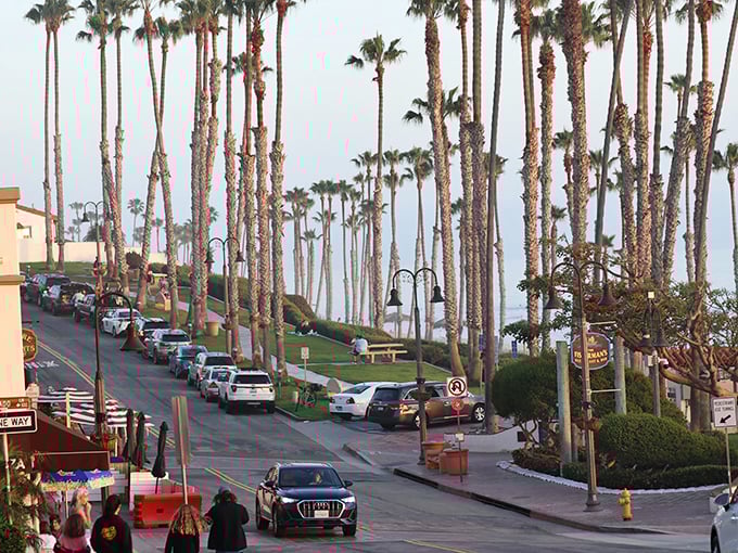 Those iconic palm trees frame San Clemente's main drag like nature's own movie set backdrop.