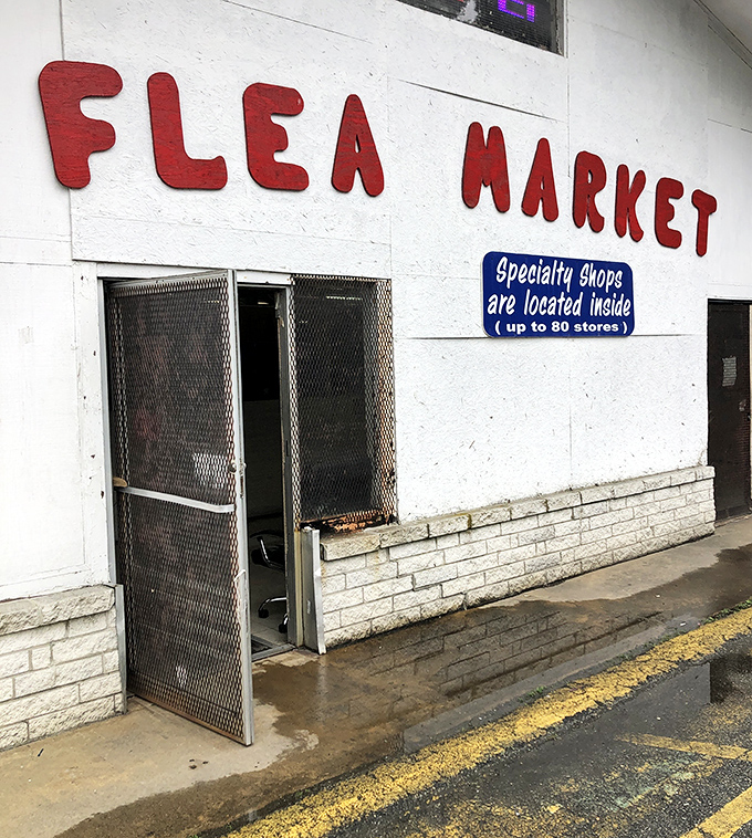 The gateway to possibility. That screen door might not look like much, but beyond it lies a world where one person's castoffs become another's conversation pieces.