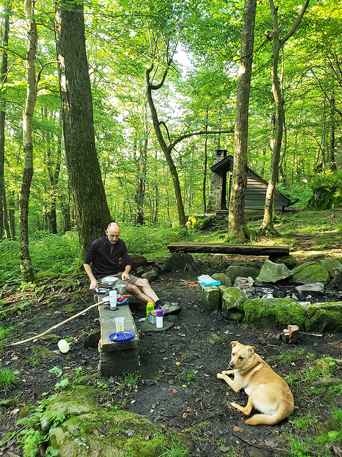Mealtime in the wilderness: Where camp cooking becomes gourmet dining and a loyal canine companion ensures no crumbs go to waste.