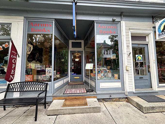 Aaron's Books offers refuge for readers who remember when bookstores were community gathering places, not endangered species.