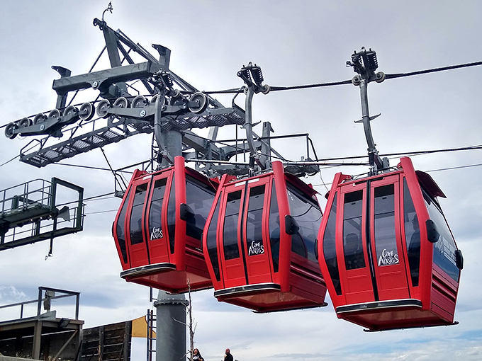 These aerial gondolas float above the Royal Gorge like flying toasters, only infinitely more thrilling and scenic.