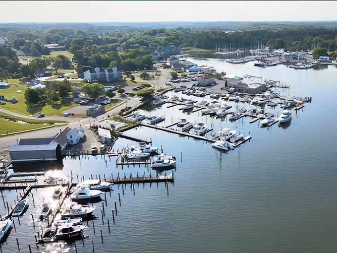 Marina life from above reveals Rock Hall's boating heart. This bird's-eye view shows why the town has been a haven for water lovers for centuries.
