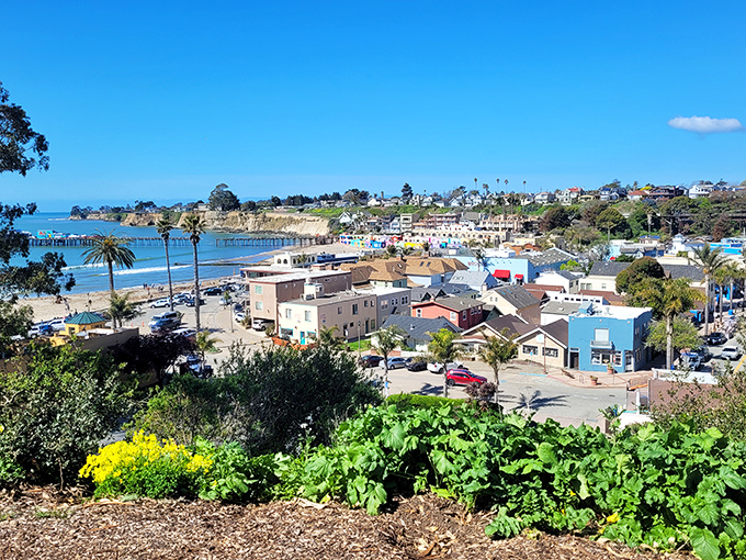 From this hillside perch, Capitola unfolds like a miniature village built by extremely talented children with exceptional color sense.