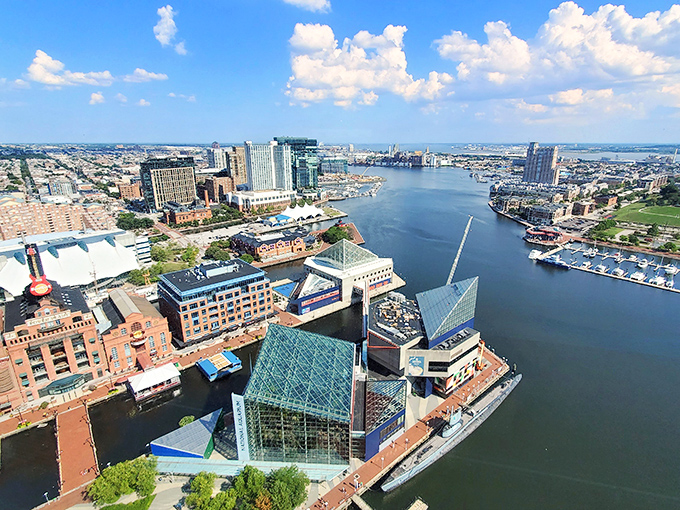 The Inner Harbor's architectural gems cluster along the waterfront like jewelry on display, each building reflecting Baltimore's knack for reinventing itself without forgetting its maritime soul.