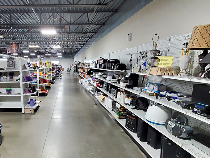 Clean, bright aisles make treasure hunting a pleasure rather than a chore. Your next conversation piece is hiding somewhere on these shelves.