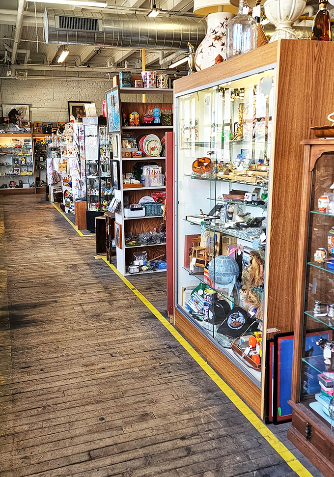 Follow the yellow-lined road through this wooden-floored wonderland where display cases protect treasures waiting for their next chapter.