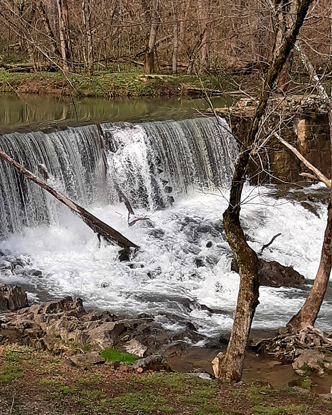 The rolling hills surrounding Rogersville cradle the town in greenery, reminding visitors that nature and history coexist beautifully here.