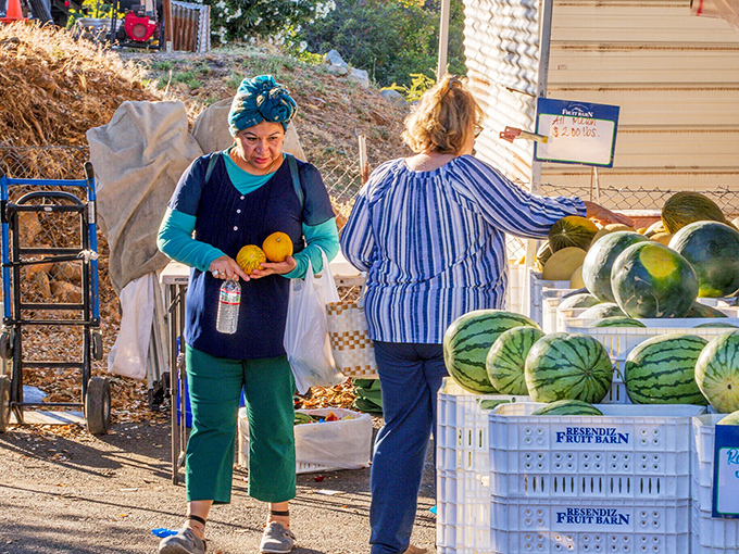 The Angels Camp Farmers Market showcases the bounty of local farms, where watermelons and fresh produce reflect the region's agricultural heritage.