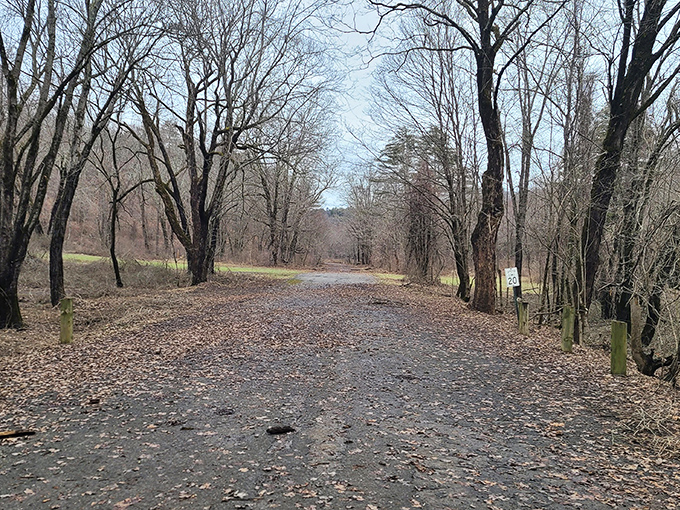 Autumn transforms Thomaston into a painting that would cost thousands in a gallery, yet here it's completely free to enjoy.