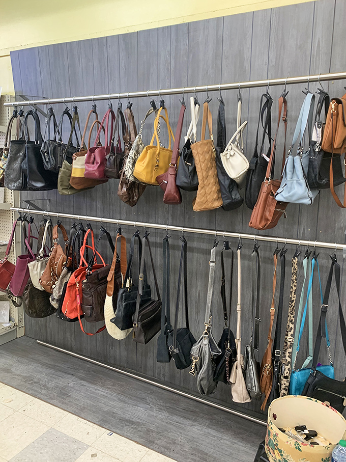 Handbag heaven! A rainbow of purses and totes that would make any accessory enthusiast weak at the knees.