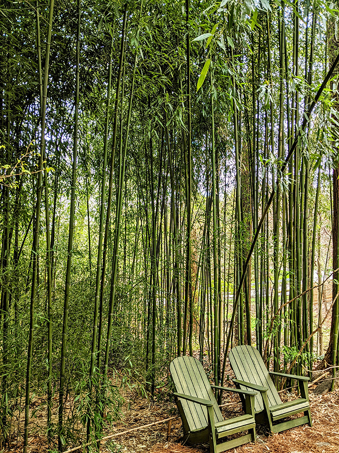 Bamboo creates a secluded retreat where two chairs await, promising conversations that matter more than whatever's happening on Netflix tonight.