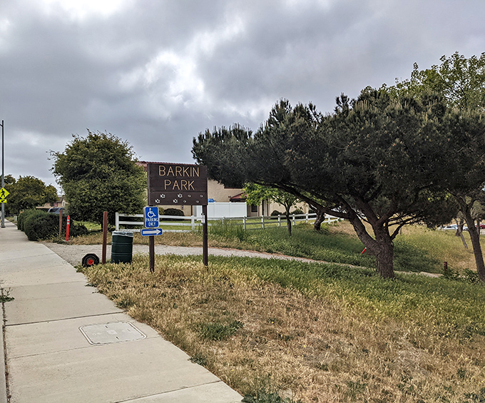 Barkin Park&mdash;where Lompoc's four-legged residents can socialize while their humans compare retirement portfolios and grandchild photos.