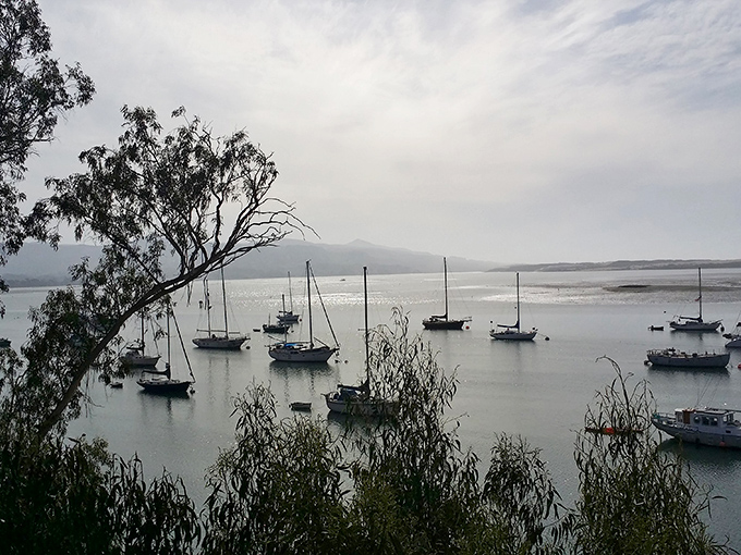Morning mist creates a dreamy atmosphere as sailboats rest peacefully on Morro Bay's glassy waters&mdash;nature's own meditation session.