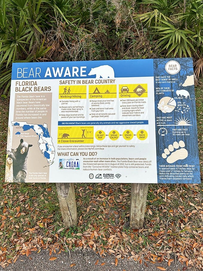 Bear necessities explained! This informative sign ensures your wildlife encounters remain in the "great story" category, not the "cautionary tale" one.