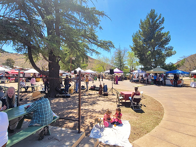 The Bisbee Community Market brings locals together under shade trees, where dogs, kids, and artisans create the perfect small-town Saturday soundtrack. 