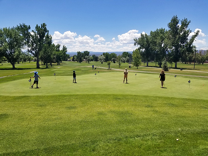 "I'm just here for the fresh air" &ndash; the universal excuse for a mediocre golf game at Black Canyon Golf Course, where the scenery outshines even the best swing.
