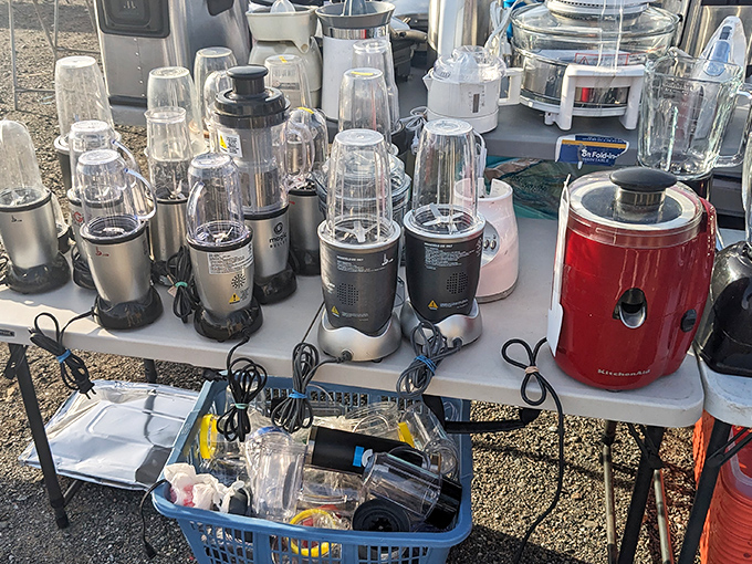 A battalion of blenders standing at attention, ready to pulverize whatever fruits you rescued from the produce stand just moments ago.
