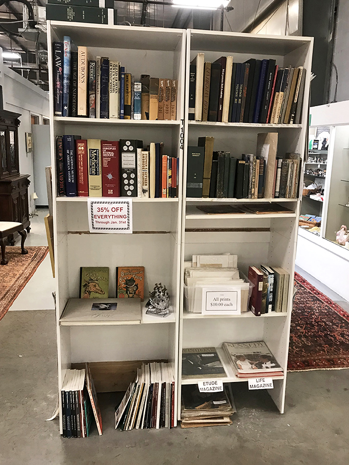 Shelves of literary treasures offer the chance to hold history in your hands &ndash; each book a time capsule of ideas.