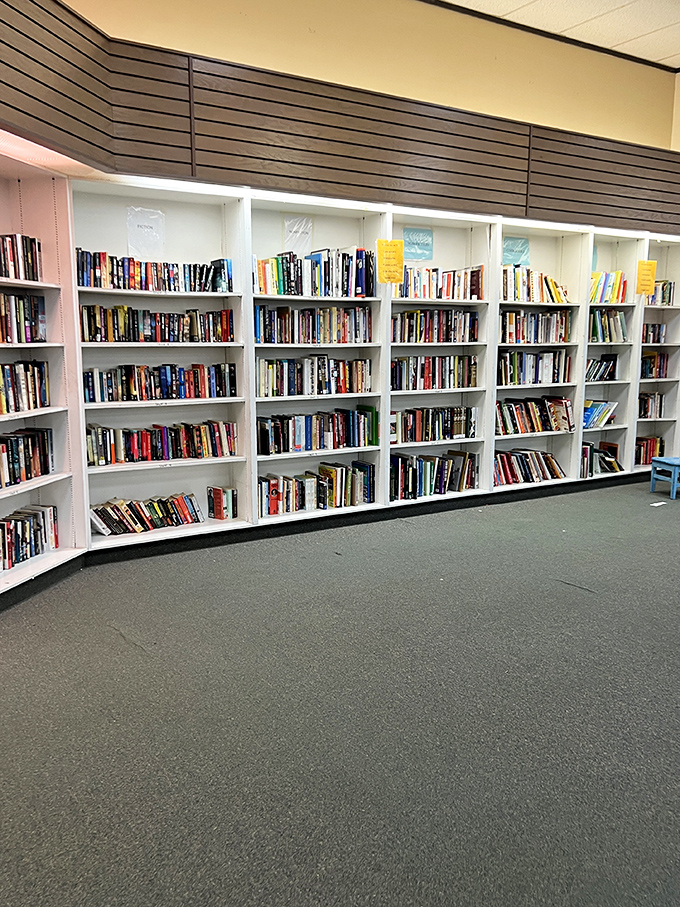 The book section rivals small libraries, with organized shelves that invite you to lose track of time. Literary treasures at paperback prices!