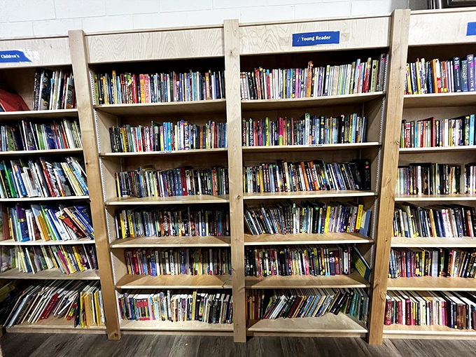 The book section rivals small-town libraries. Browse titles from bestsellers to obscure gems while giving your scrolling thumb a much-needed rest.