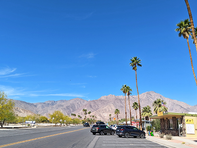Palm-lined streets lead straight to mountain vistas, Borrego's main drag offering the quintessential desert town experience under impossibly blue skies.