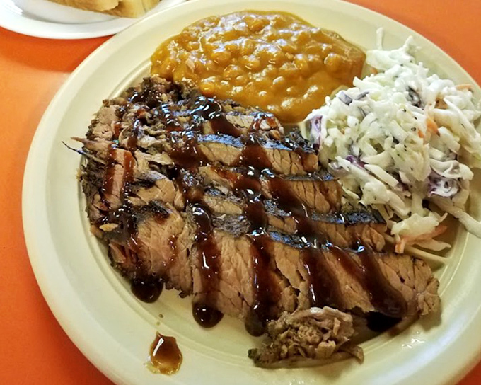 Brisket sliced like butter, with sauce applied in artistic stripes. If Picasso worked in meat instead of paint, this would be hanging in the Louvre.