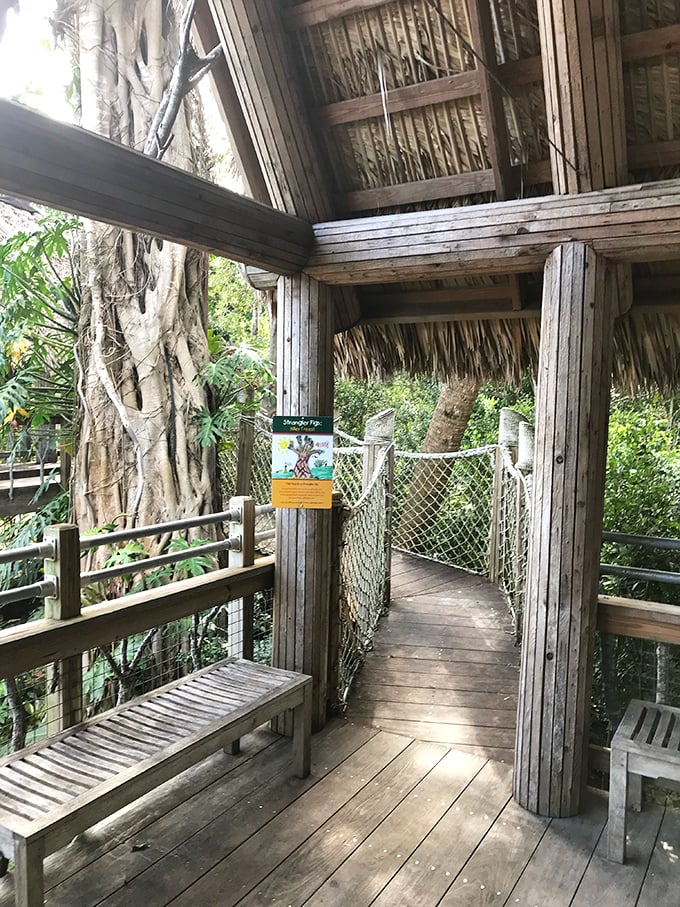 Treetop adventures await! This elevated walkway offers a bird's-eye view of the garden canopy, perfect for channeling your inner Swiss Family Robinson.