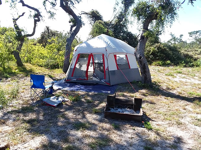 Camping nirvana achieved! This tent setup beneath protective oak branches offers the quintessential Goose Island experience&mdash;nature's embrace with just enough creature comforts.