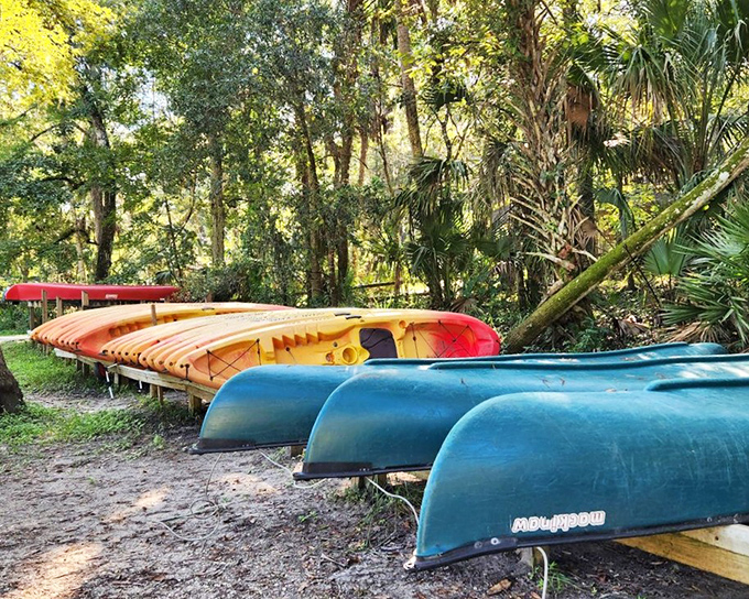 Colorful kayaks wait patiently for adventurers &ndash; like a fleet of water taxis ready to transport you to Florida's wilder side.
