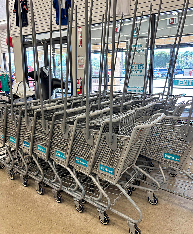 Shopping carts stand at attention, ready to be filled with unexpected treasures and bargains that simply can't be left behind.
