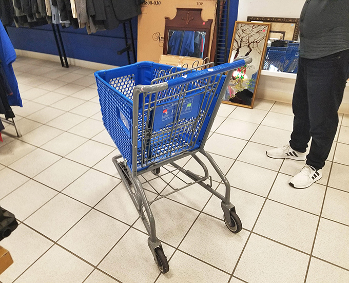 The iconic blue shopping cart awaits its mission. Will you fill it with practical necessities or delightfully unnecessary treasures? Probably both!
