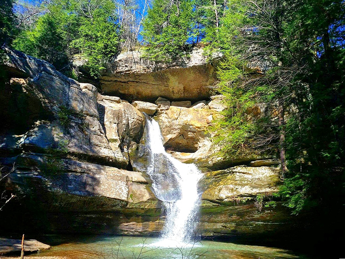 Cedar Falls in perfect light&mdash;nature's version of the golden hour filter we all wish we had on our faces. No photo editing required.
