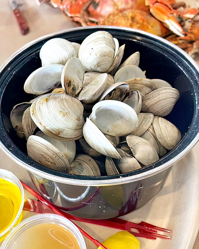 A bucket of steamed clams&mdash;nature's perfect appetizer. These bivalve beauties are just waiting to take a dip in melted butter before their final destination.