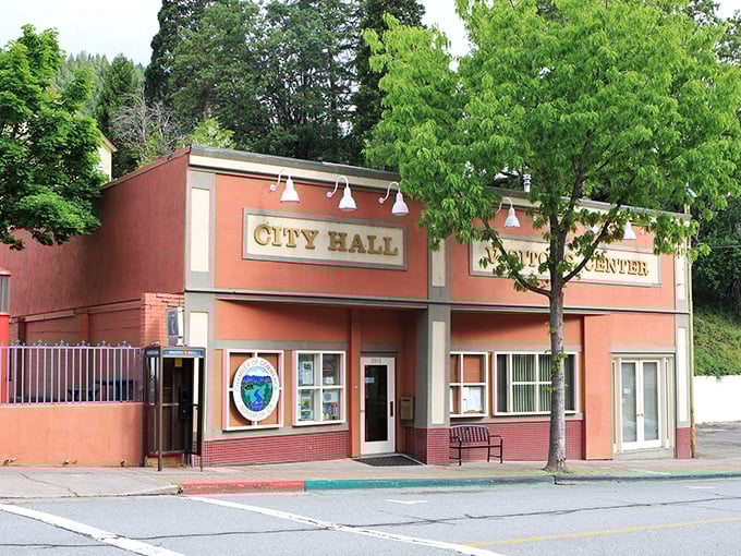 Even City Hall gets the charming treatment in Dunsmuir, where civic duty comes wrapped in a package that looks like it belongs on a vintage postcard.